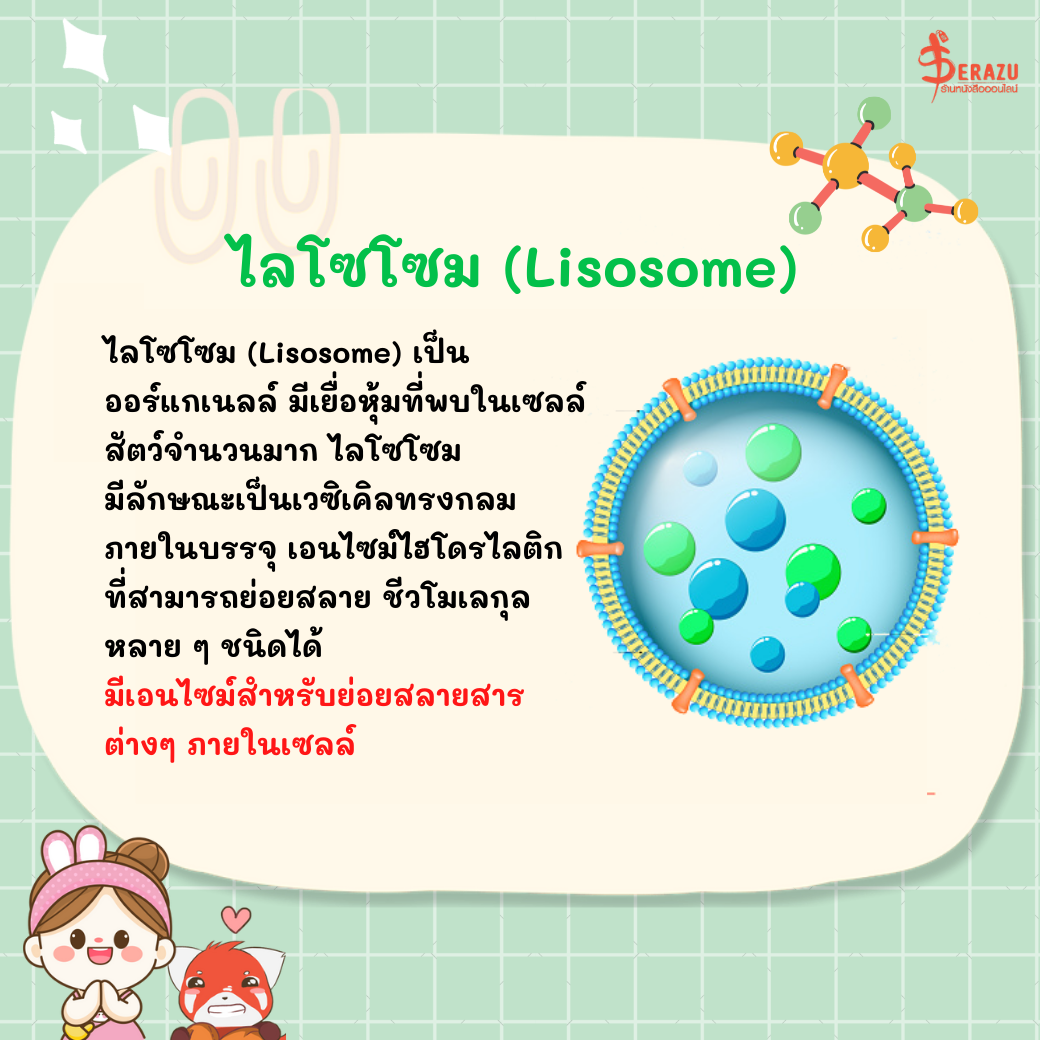 เตรียมสอบ PAT2, กสพท และโควต้า ต้องรู้ เซลล์ของสิ่งมีชีวิต !!! -- SERAZU ร้านหนังสือออนไลน์